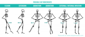 Why do we get hip pain and what can we do about it? - Sequence Wiz