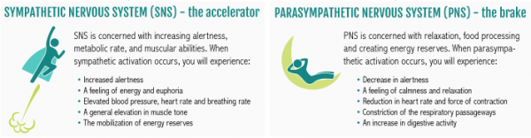 SNS_PNS - Sequence Wiz