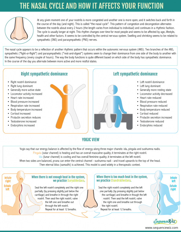NasalCycle - Sequence Wiz