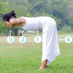 How to bend forward without stressing the spine