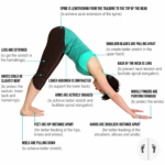 Downward Facing Dog: alignment, release valves and adaptations ...