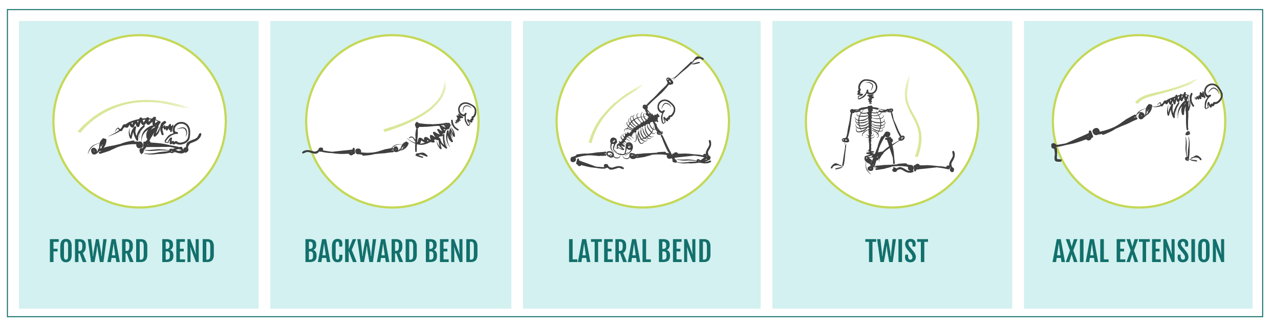 DirectionalMovementSpineFullPage - Sequence Wiz