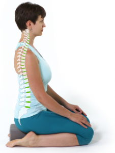 How to lengthen your spine without strain - Sequence Wiz