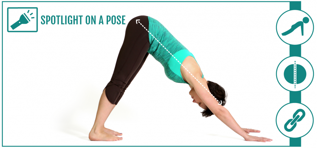 Spotlight on a pose Archives - Sequence Wiz