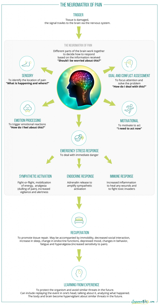 The neuromatrix of pain - Sequence Wiz
