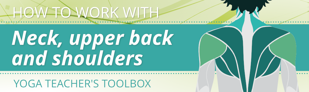 Muscle lady banner_Neck - Sequence Wiz