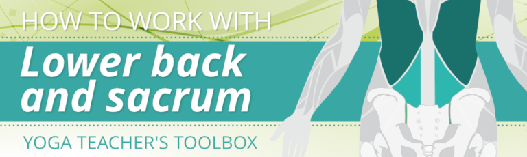 Yoga teacher's toolbox: How to work with lower back and sacrum ...
