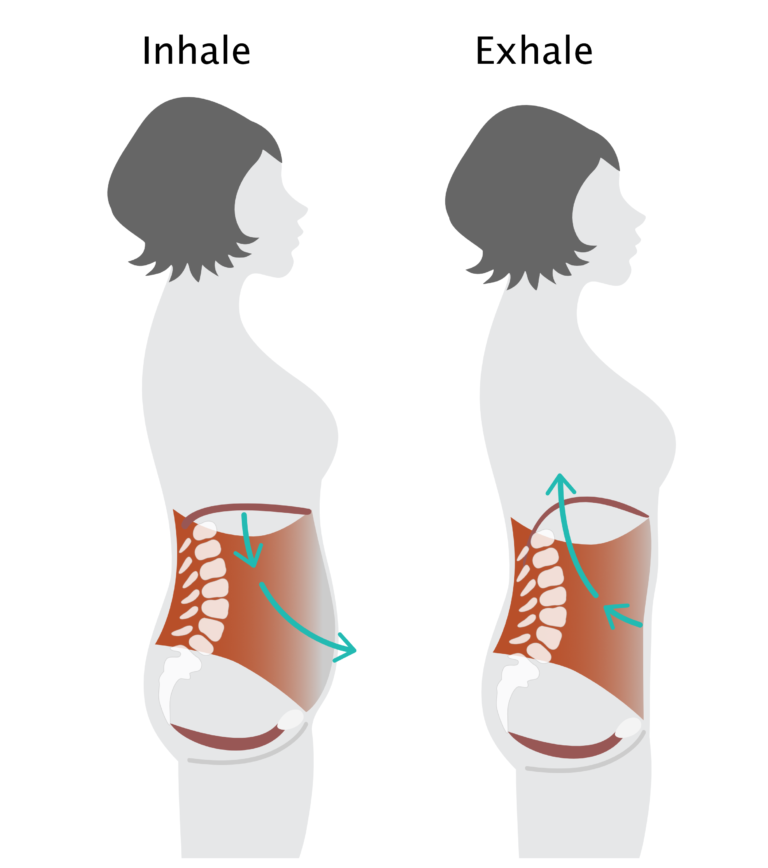 Dual roles of your diaphragm and why they are essential in your yoga ...