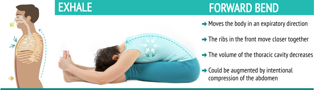 How to combine breath and movement in your yoga practice - Sequence Wiz