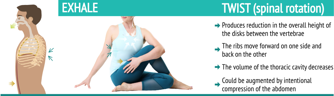 How to combine breath and movement in your yoga practice - Sequence Wiz