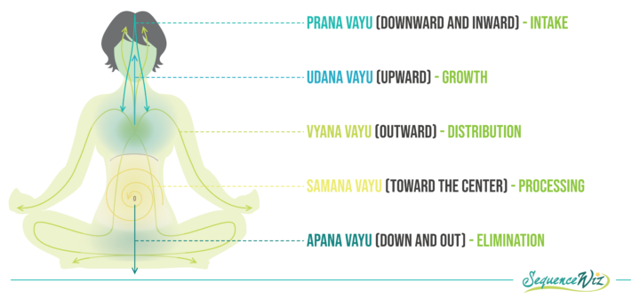 Three yoga models that describe different aspects of prana flow ...