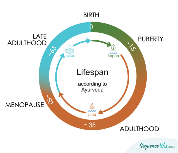 Seasonal Ayurvedic cycles and their impact on our health and well-being ...