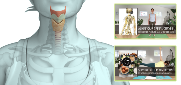 Sequence Wiz - Every yoga practice must have purpose, order and meaning