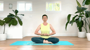 Mini intro GIF - Sequence Wiz