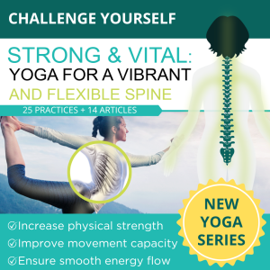 Balance your "body budget" through movement, thoughts and relationships ...