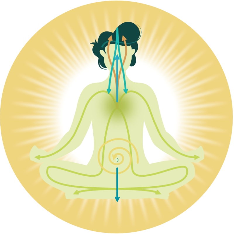 PRACTICE VIDEOS - Sequence Wiz