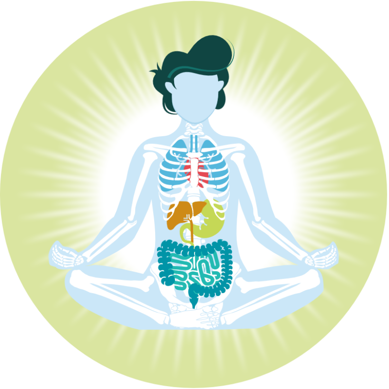 PRACTICE VIDEOS - Sequence Wiz